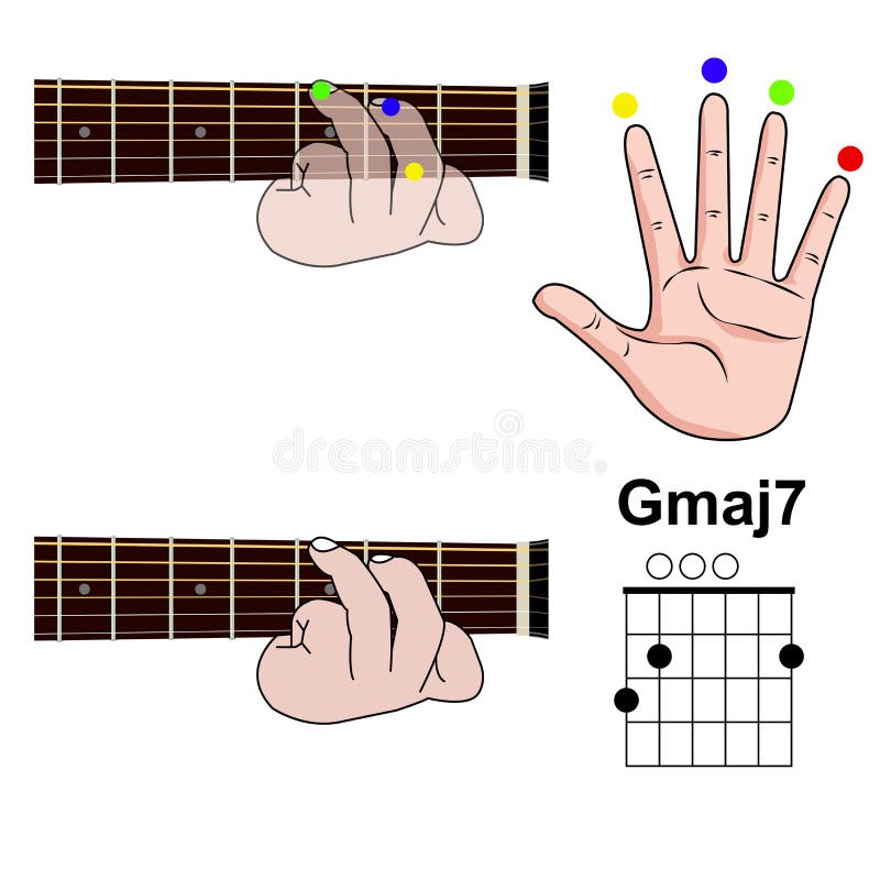 Guitar Chord Basic and Hand Position for Guitar Chord Vector. Freestyle ...