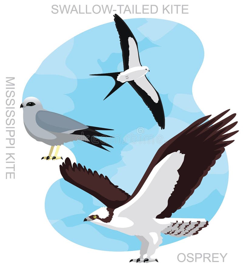 Cute Bird Osprey Kite Set Cartoon Vector Stock Vector - Illustration of ...