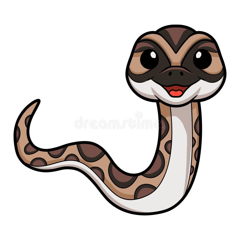 Cute Python Molurus Bivittatus Cartoon Stock Vector - Illustration of ...