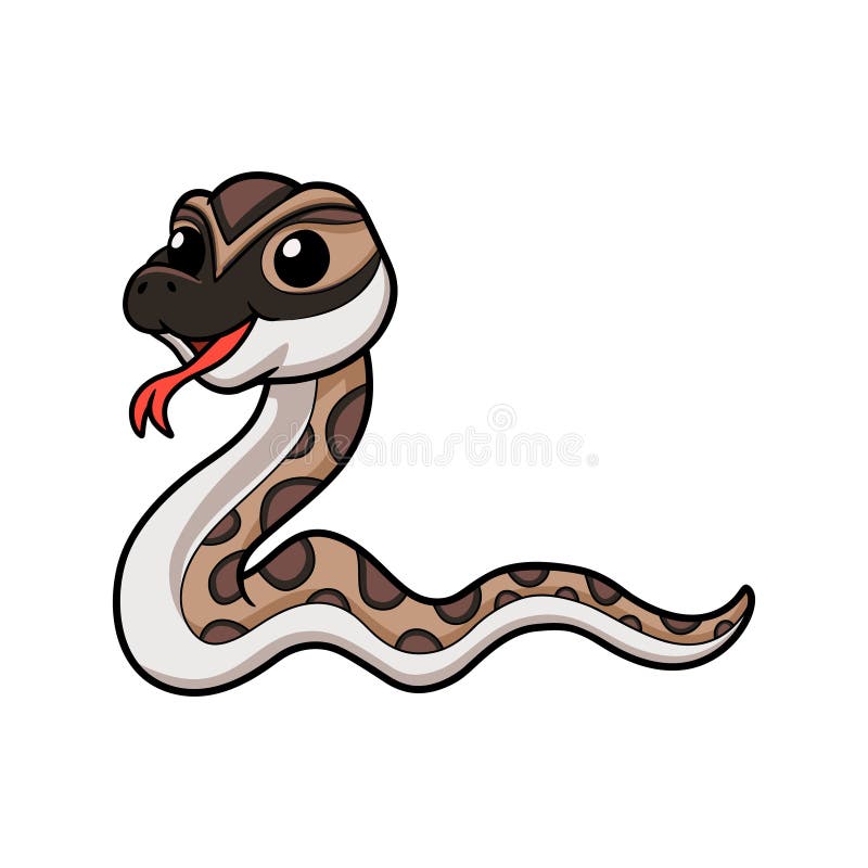Burmese Python Stock Illustrations – 200 Burmese Python Stock ...