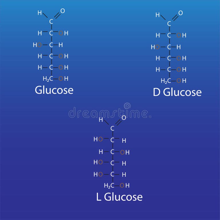 Structure of L Glucose Glucose Linear Form Stock Illustration ...