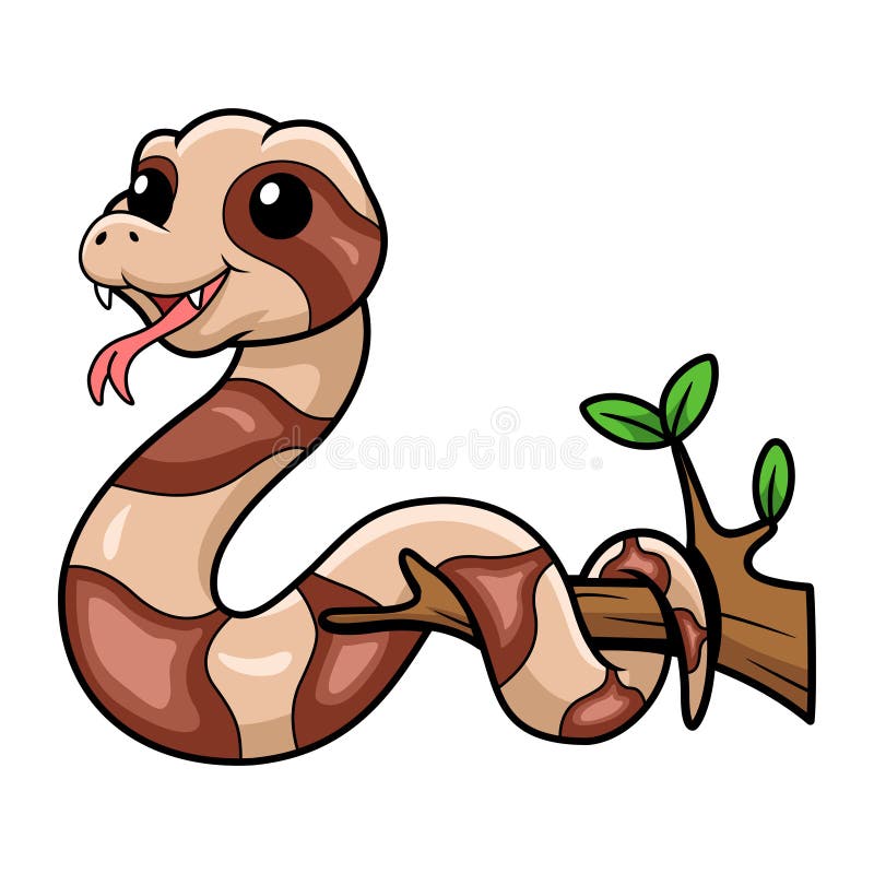 Cute Copperhead Snake Cartoon on Tree Branch Stock Vector ...