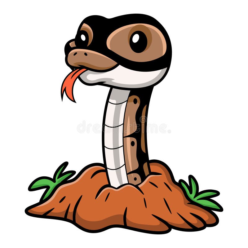 Cute Ball Python Snake Cartoon Out from Hole Stock Vector ...