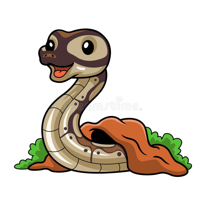 Cute Black Head Butter Ball Python Cartoon Out from Hole Stock Vector ...