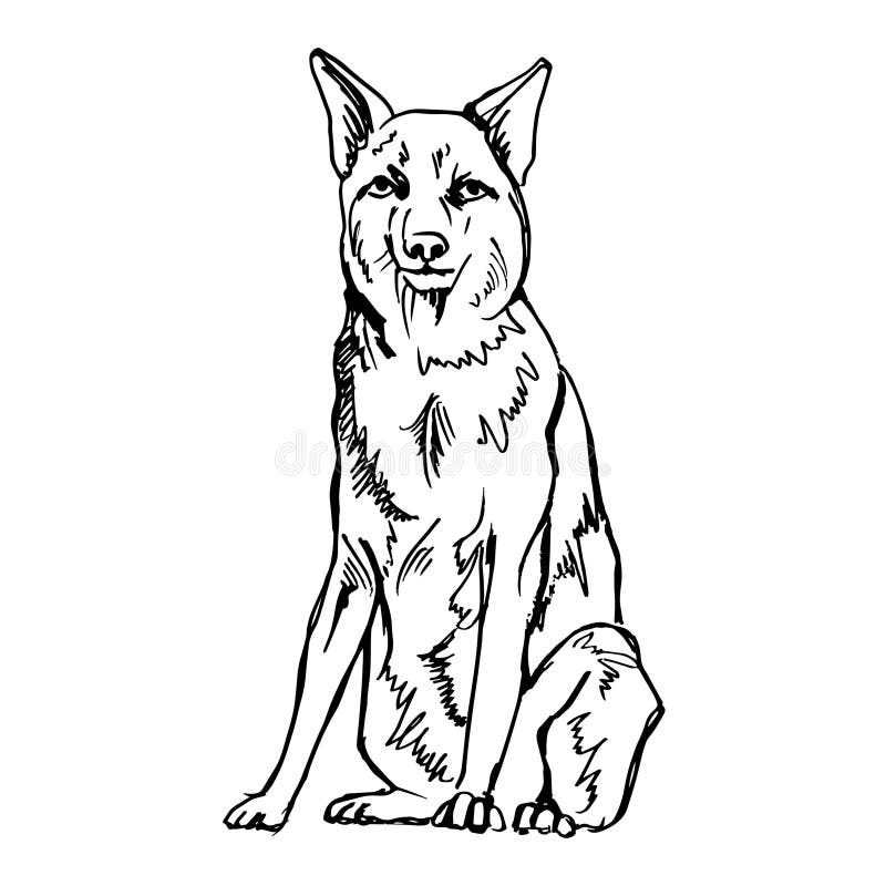Simple German Shepherd Drawing