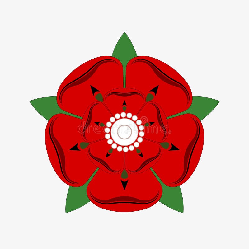 Lancaster Rose Stock Illustrations – 96 Lancaster Rose Stock ...