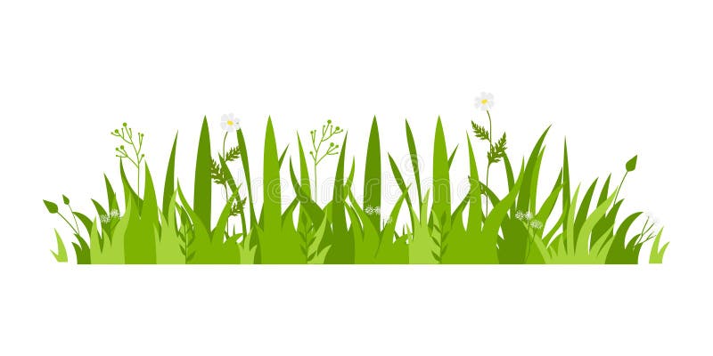 Grass Illustration stock vector. Illustration of blade - 271763796