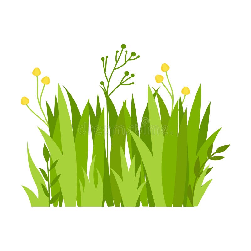 Grass Illustration with Flowers Stock Vector - Illustration of decor ...