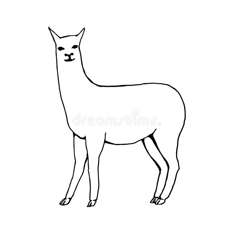 Simple Llama Outline Stock Illustrations – 144 Simple Llama Outline ...