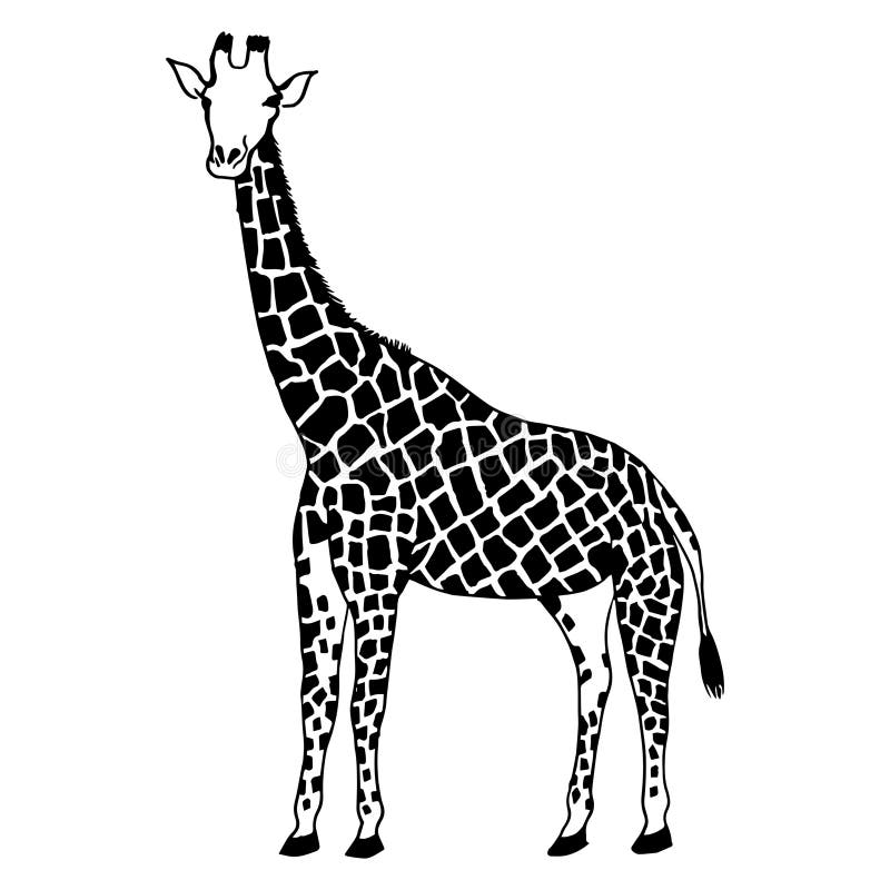 Abstract, Minimalistic Sketch of a Giraffe with Simple Lines. Stock ...