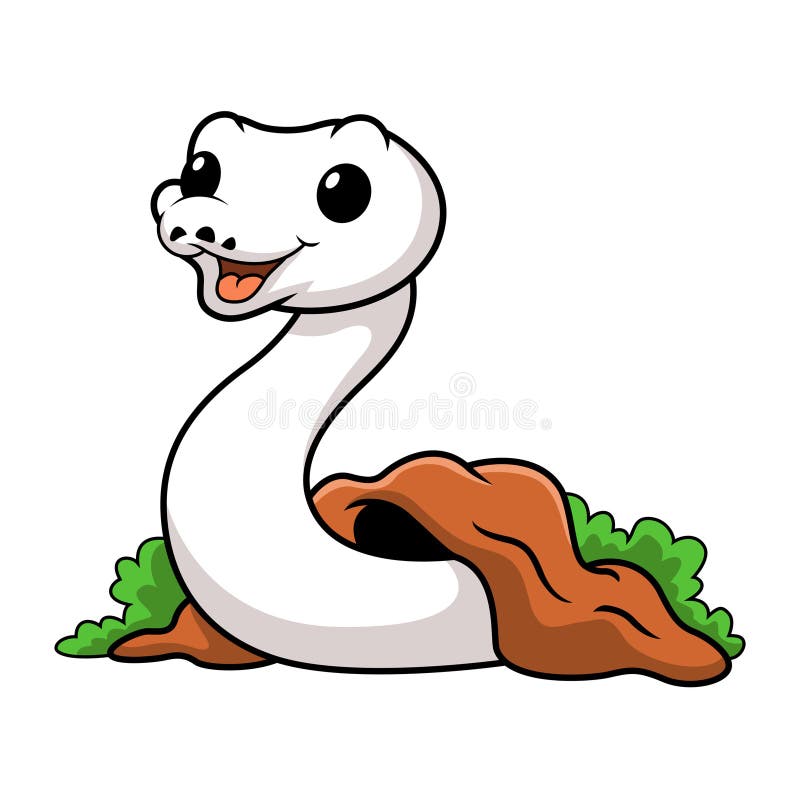 Cute White Leucistic Ball Python Snake Cartoon Out from Hole Stock ...