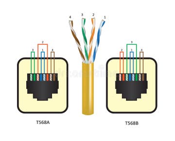 UTP Ethernet Cabling Standards Stock Vector - Illustration of cable ...
