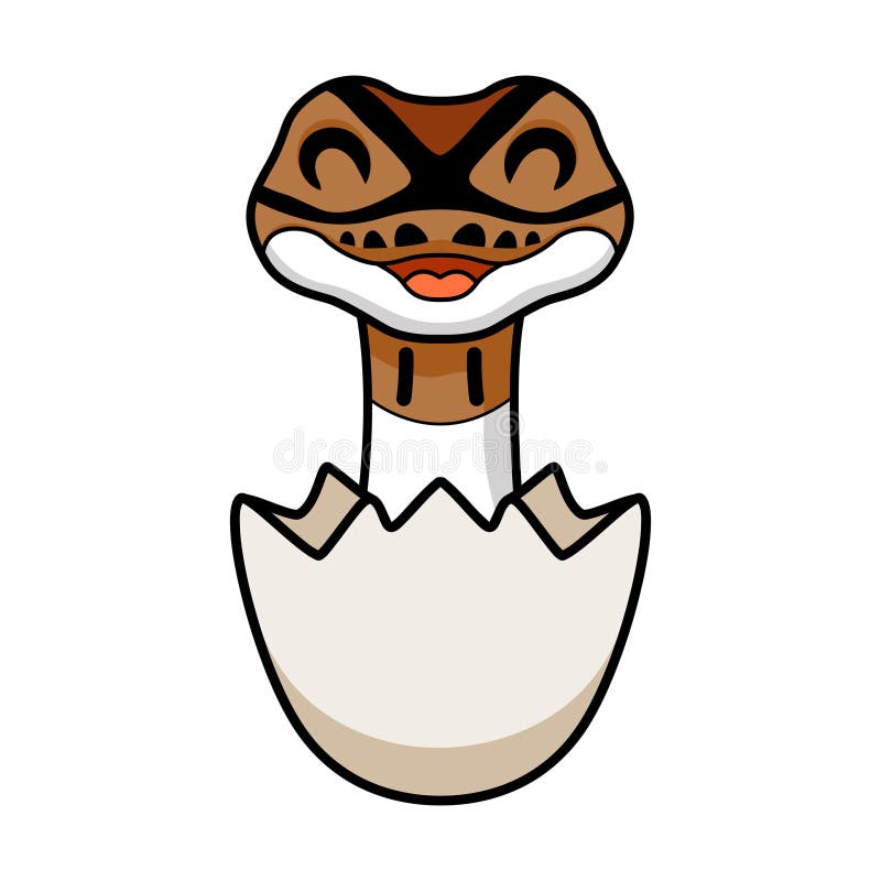 Cute Pied Ball Python Cartoon Inside an Egg Stock Vector - Illustration ...