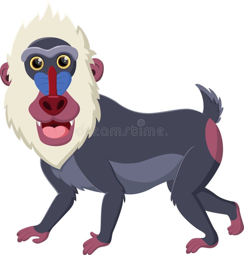 Standing Mandrill Mandrillus Sphinx on a Side View Silhouette Found in ...