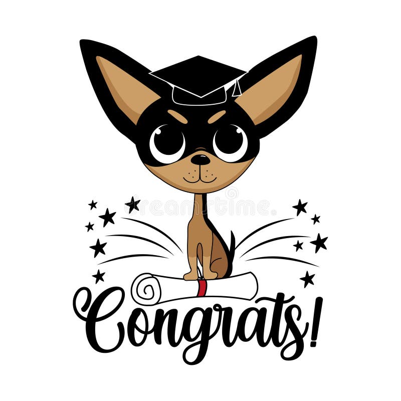 Congrats - Cute Dog in Graduate Cap and Certificate or Diploma Stock ...