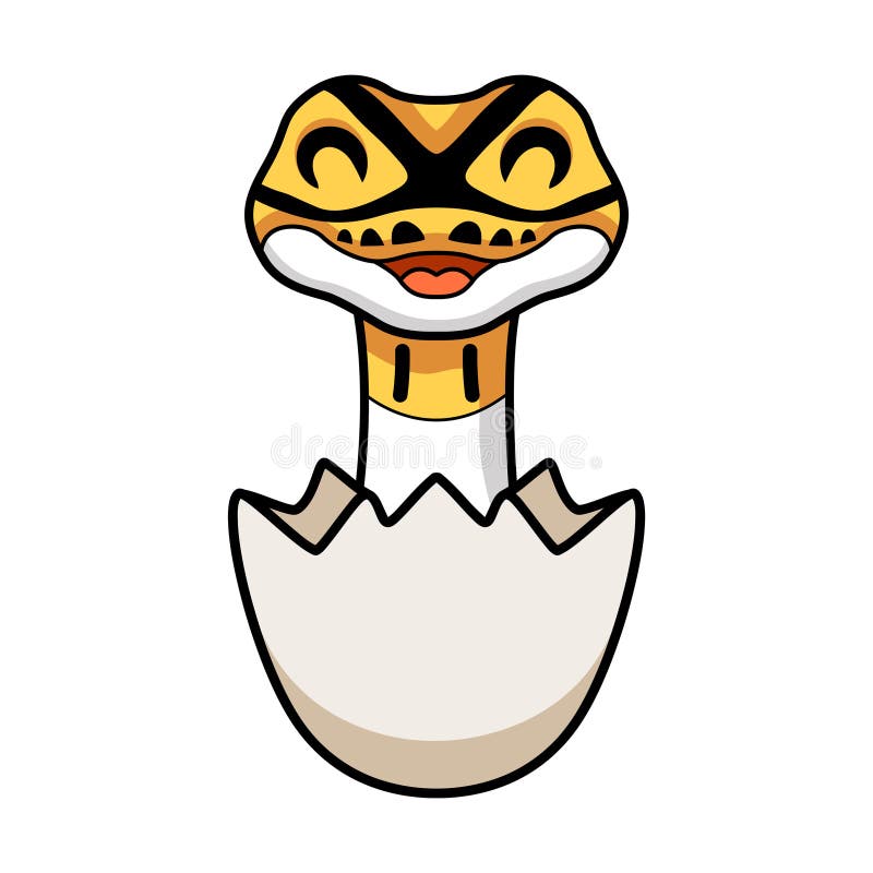 Cute Albino Pied Ball Python Cartoon Inside an Egg Stock Vector ...