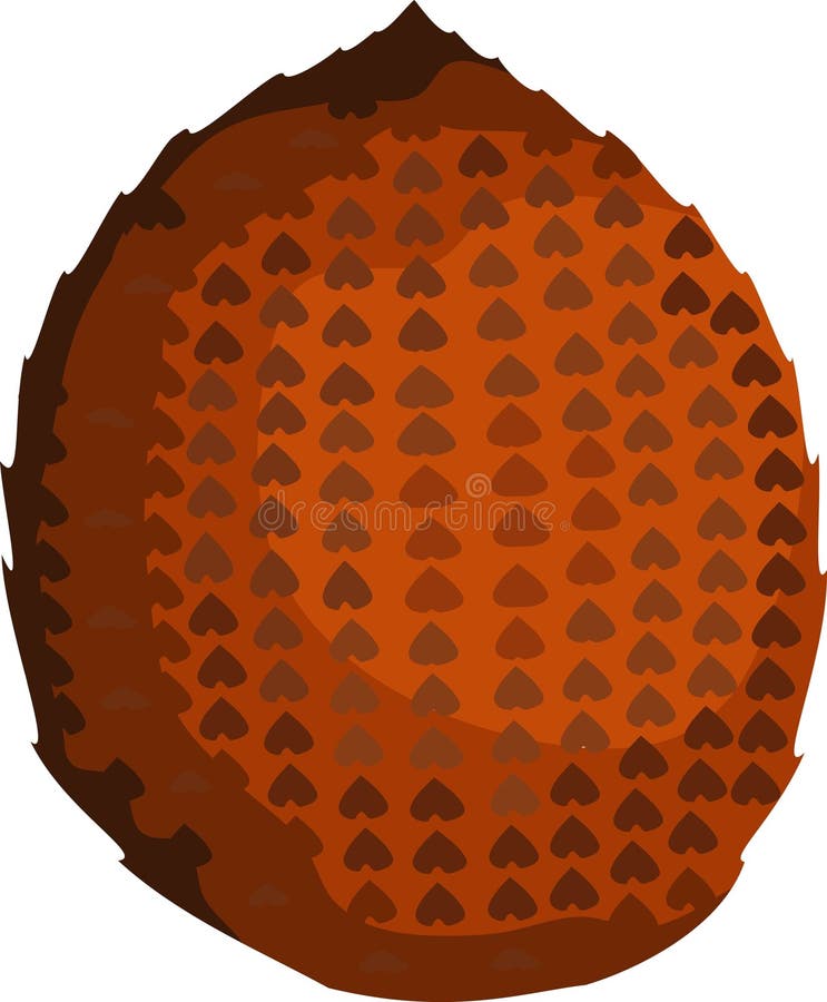 Snake Fruit Sweet Plant Vector Illustration Stock Vector - Illustration ...