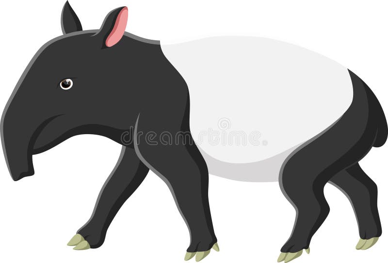 Tapir Cartoon Stock Illustrations – 761 Tapir Cartoon Stock ...