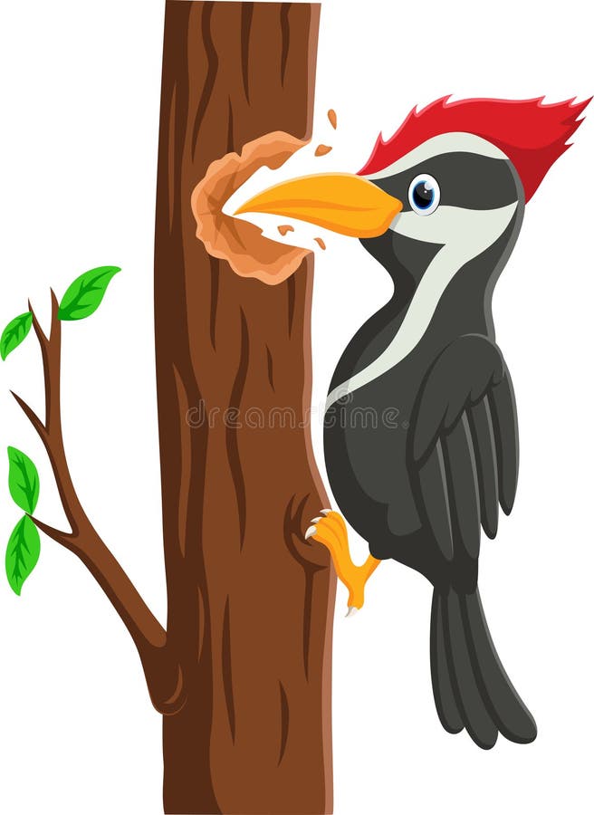 Cartoon Cute Woodpecker Bird on Tree Stock Illustration - Illustration ...