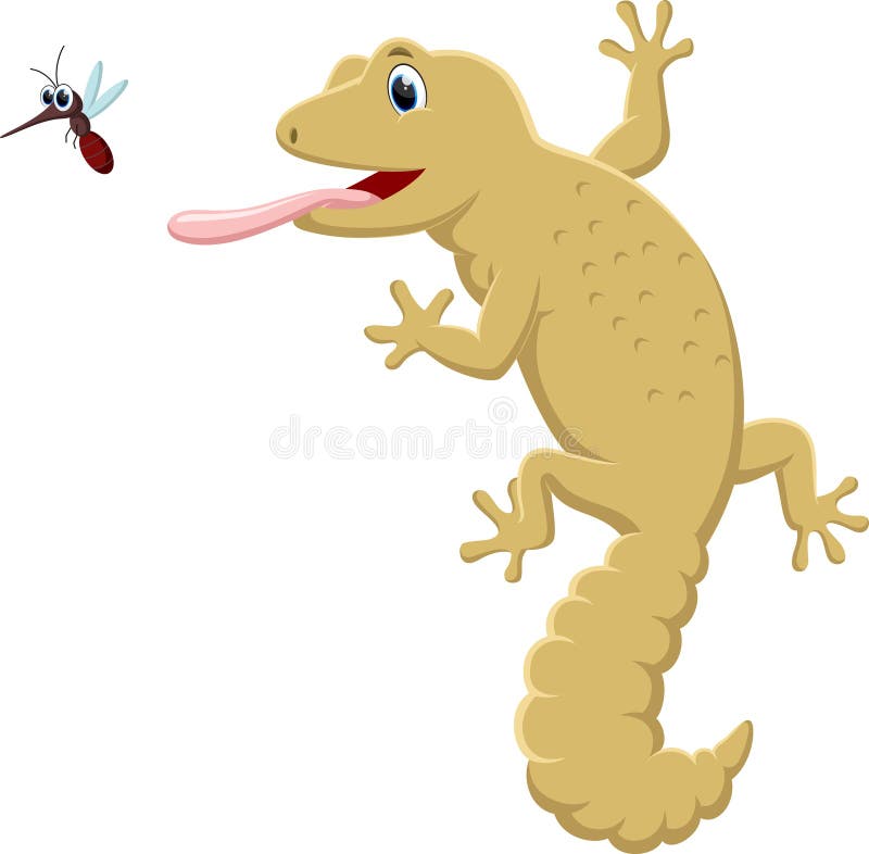 Cartoon Gecko Hunt Mosquito Isolated on White Stock Illustration ...