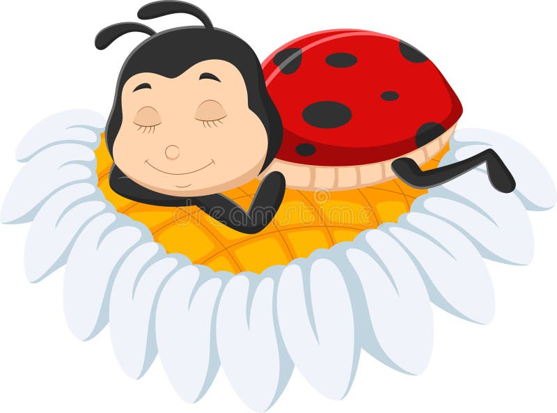 Cartoon Cute Ladybug Sleeping on Daisy Flower Stock Illustration ...