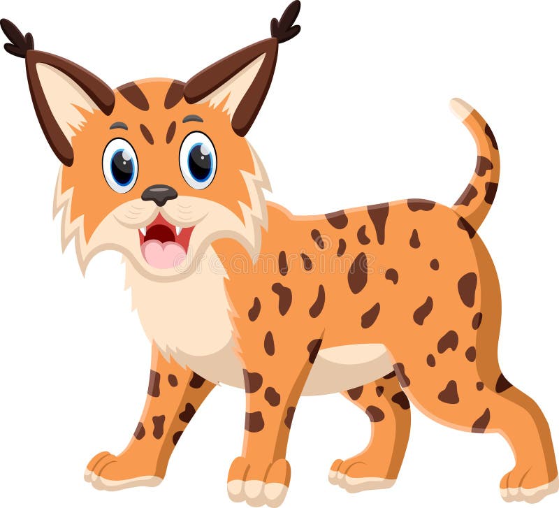 Cartoon Cute Bobcat, Isolated on White Stock Illustration ...