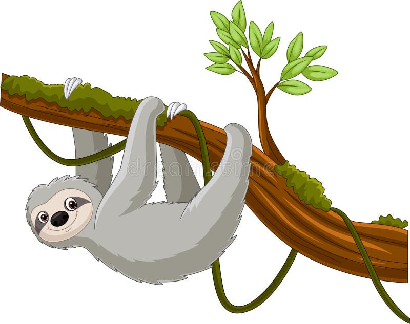 Cartoon Sloth Hanging on a Tree Branch Stock Vector - Illustration of ...
