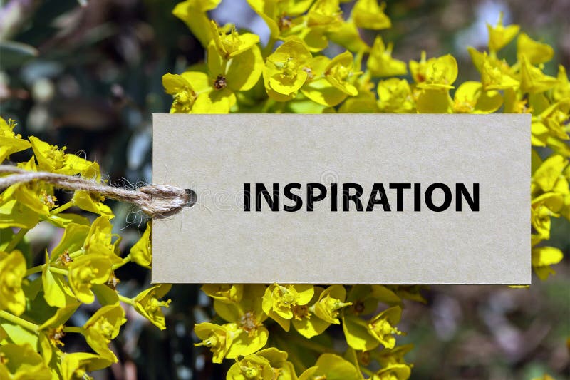 Inspiration word on paper stock photo. Image of inspirational - 274984638