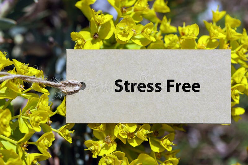 Stress free word on paper stock photo. Image of emotional - 274984768