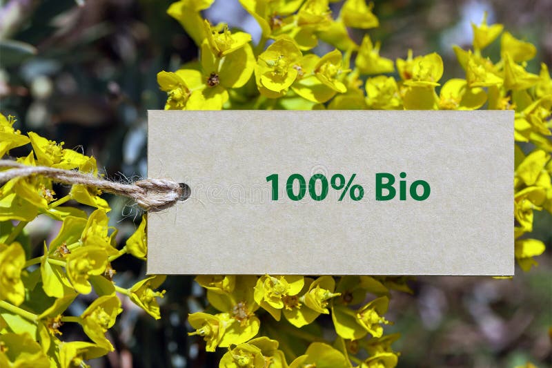 100 Percent Bio Word on Paper Stock Image - Image of percent ...