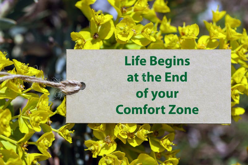 Life Begins at the End of Your Comfort Zone Word on Paper Stock Photo ...