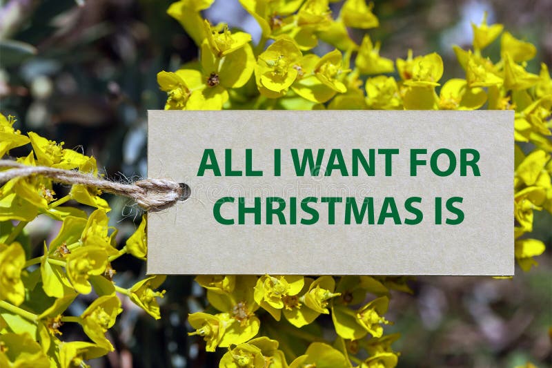 All I Want for Christmas is Word on Paper Stock Image - Image of typo ...