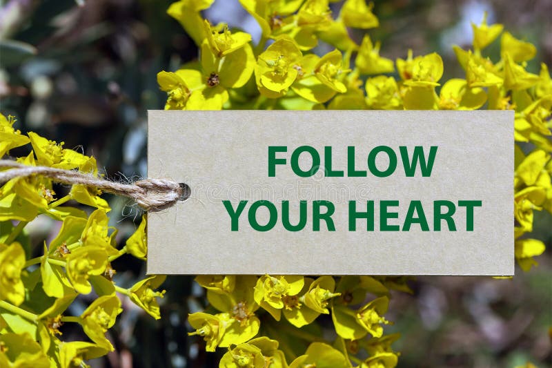Follow Your Heart Word on Paper Stock Photo - Image of mail, follow ...