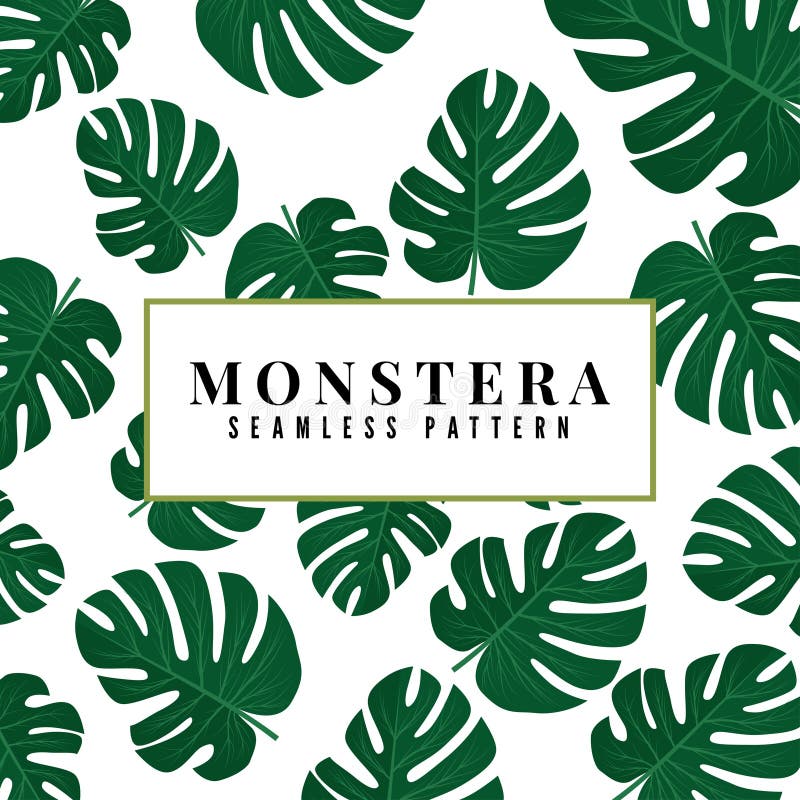 Vector Monstera Seamless Pattern Stock Vector - Illustration of fabric, decoration: 275721728