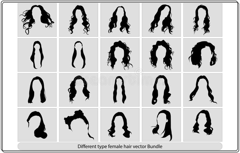 Set Of Women Hairstyles Vector Hairstyles Illustration Hairstyle Vector