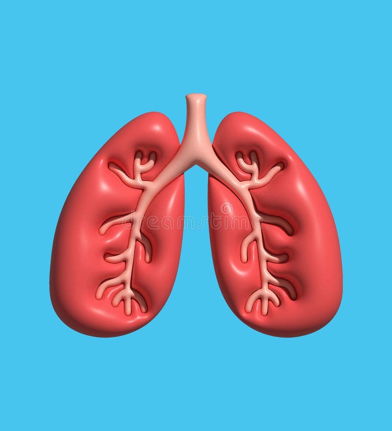 Lungs Human Internal Organ 3d Render Vector Illustration. Covid-19 ...