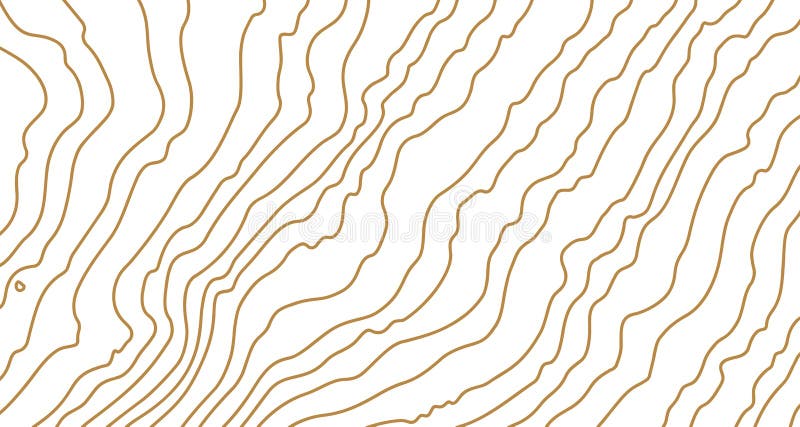 Gold Wooden Pattern. Wood Grain Texture. Dense Lines. Abstract White ...