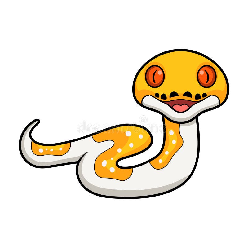Albino Python Stock Illustrations 349 Albino Python Stock 3050