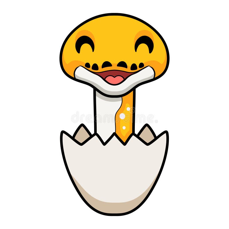 Cute Albino Pied Reticulated Python Cartoon Inside an Egg Stock Vector ...