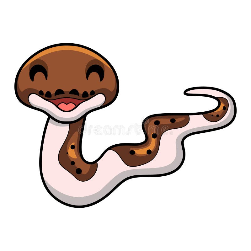 Cute Pied Reticulated Python Cartoon Stock Vector - Illustration of ...
