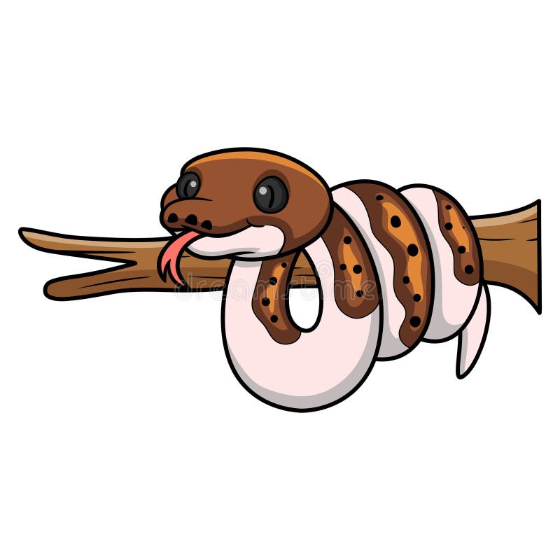 Cute Pied Reticulated Python Cartoon on Tree Branch Stock Vector ...
