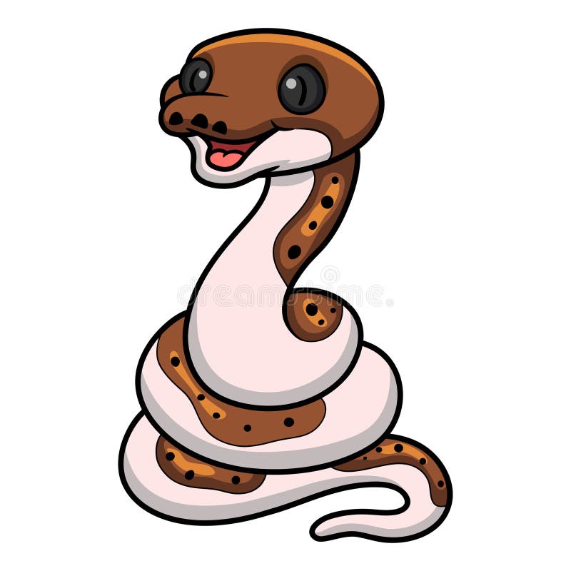 Cute Pied Ball Python Cartoon Stock Vector - Illustration of herpetology, animal: 273502210