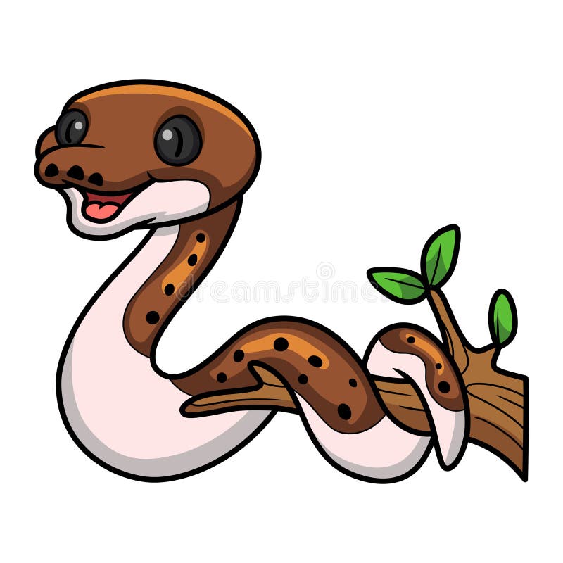 Cute Pied Reticulated Python Cartoon on Tree Branch Stock Vector ...