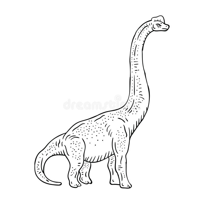 Dinosaur Line Drawing Brachiosaurus Stock Illustrations – 225 Dinosaur ...