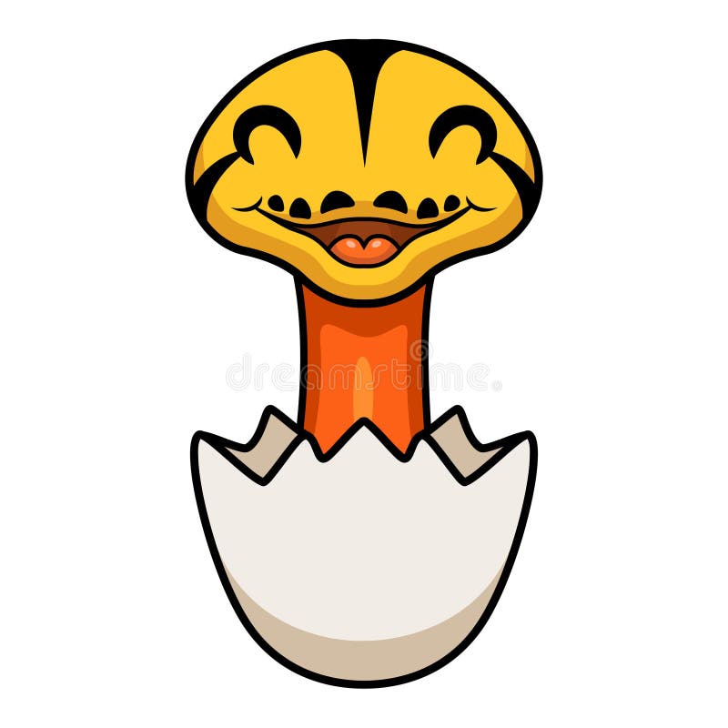 Cute Albino Golden Child Reticulated Python Cartoon Inside an Egg Stock ...