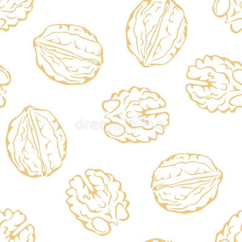 Walnut Line Drawing Stock Illustrations – 932 Walnut Line Drawing Stock ...