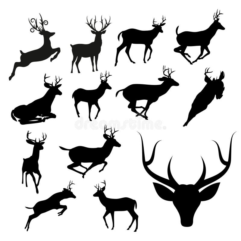 Hirsch Stock Illustrations – 56 Hirsch Stock Illustrations, Vectors ...