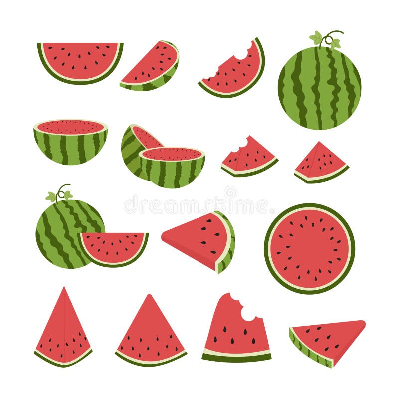 Fresh and Juicy Whole Watermelons and Slices Illustration Stock Vector ...