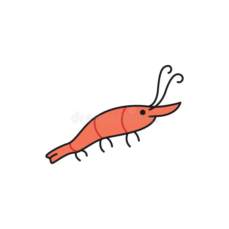 Cute and Simple Shrimp Vector Illustration Stock Illustration ...