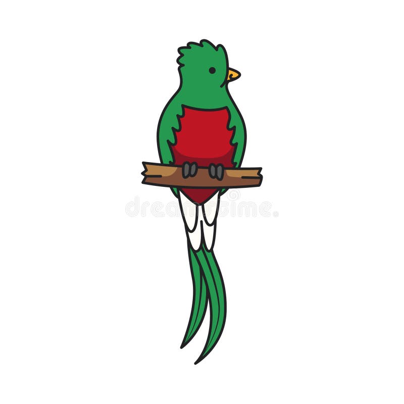 Cute quetzal bird stock illustration. Illustration of cute - 280175499